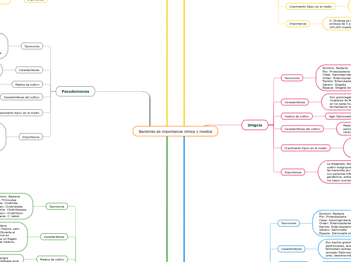 Bacterias de importancia clinica y medica - Mind Map